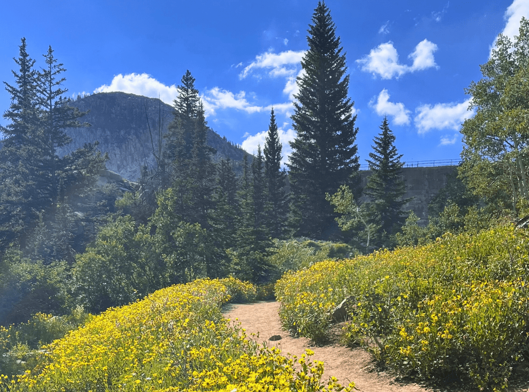 5 Tips on How to Be a More Mindful Trail User – Alpha Coffee