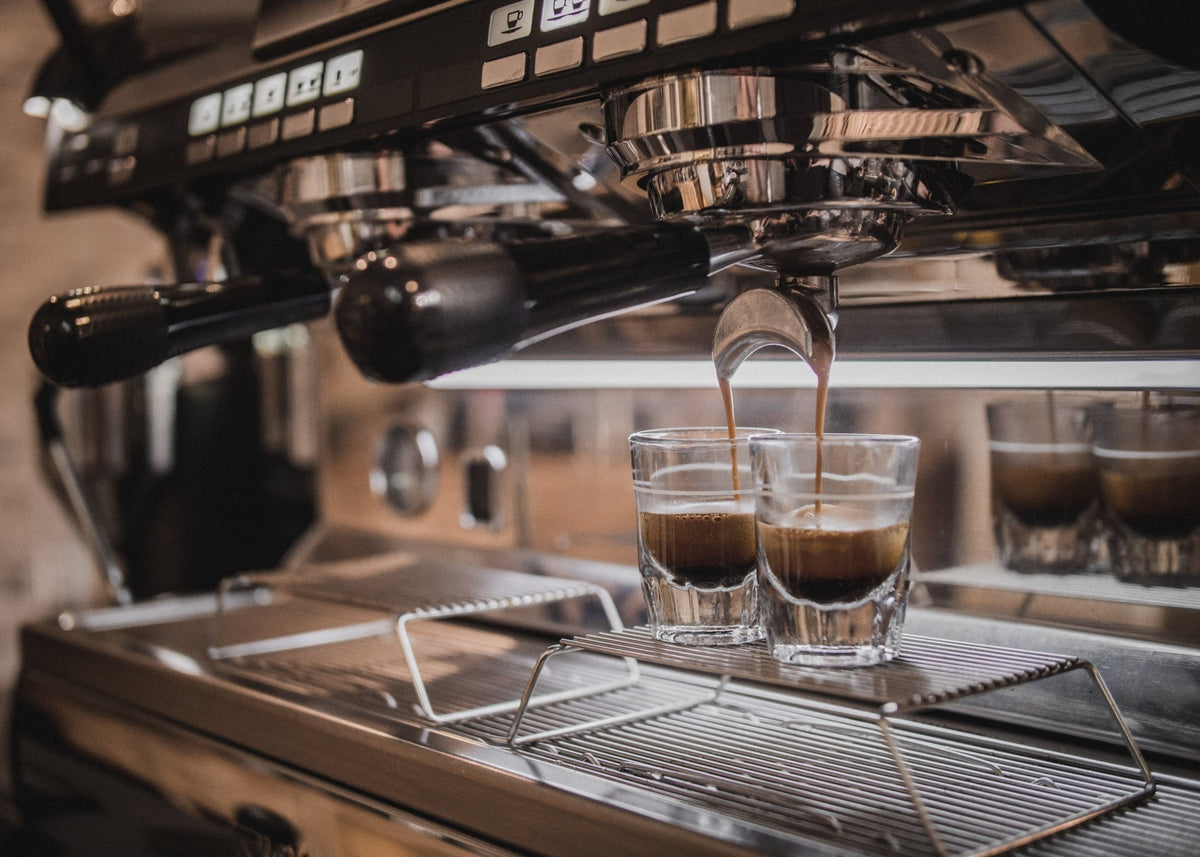 All About Arabica Coffee – Alpha Coffee